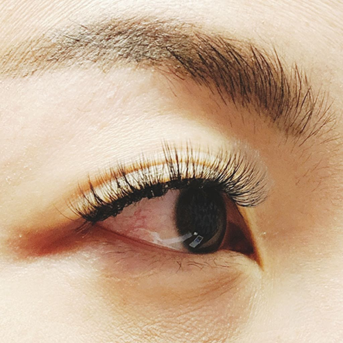 Lash Club | Eyelash Extensions, Lifts, and Tints | Portland Oregon