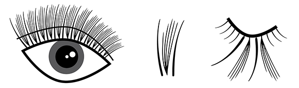 Services - Lash Club | Eyelash Extensions | Portland, Oregon